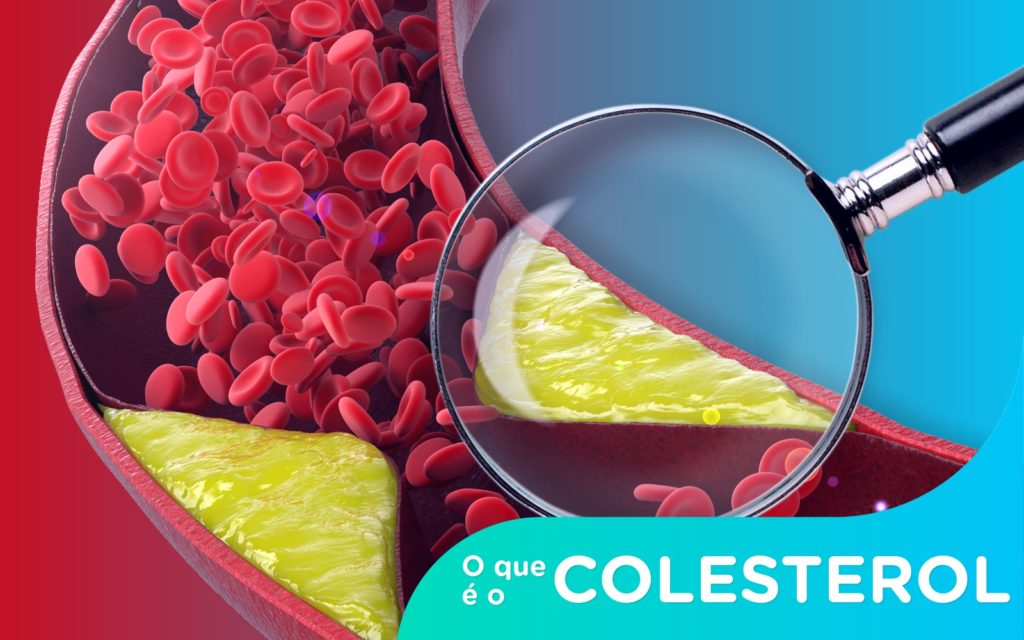Guia Rápido sobre o Colesterol - Blog - Hospital Vera Cruz